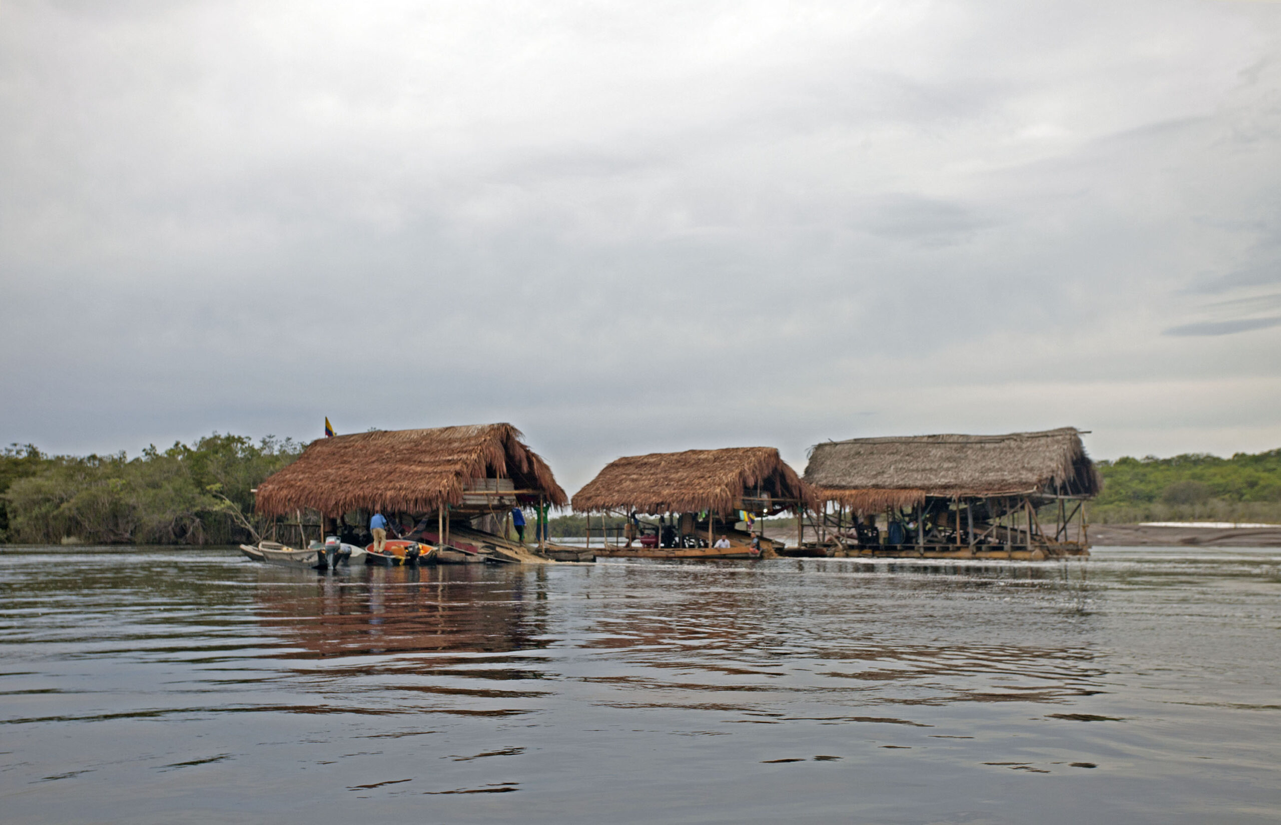 La estrella fluvial de la Amazonía en Atabapo - SOS Orinoco