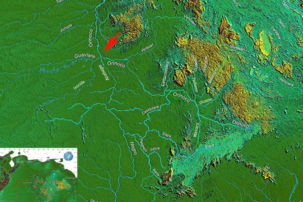 La estrella fluvial de la Amazonía en Atabapo – SOS Orinoco