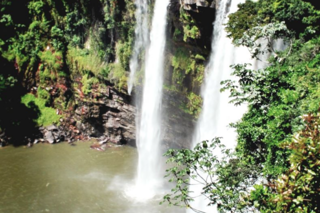 Orinoco Mining Belt: A Mega-mining threat to the Venezuelan Amazon ...