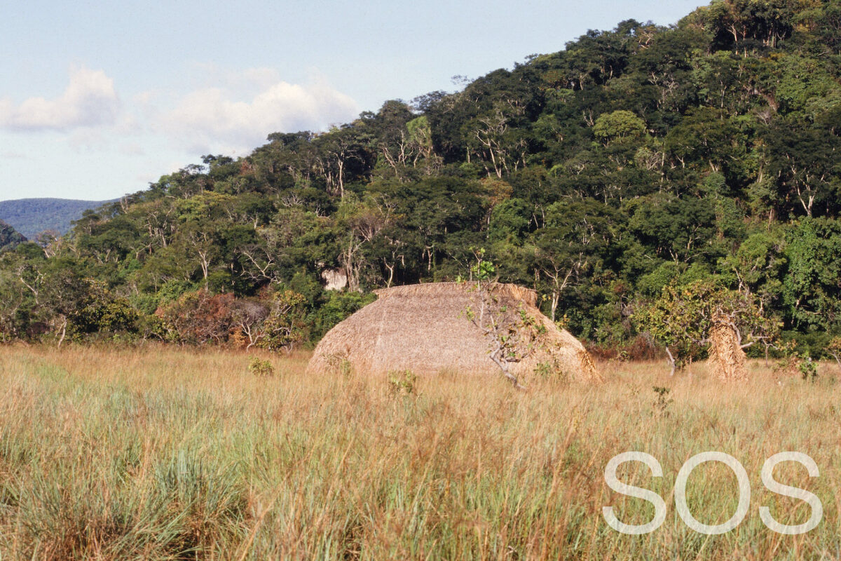 Reserva de Biósfera Alto Orinoco-Casiquiare – SOS Orinoco