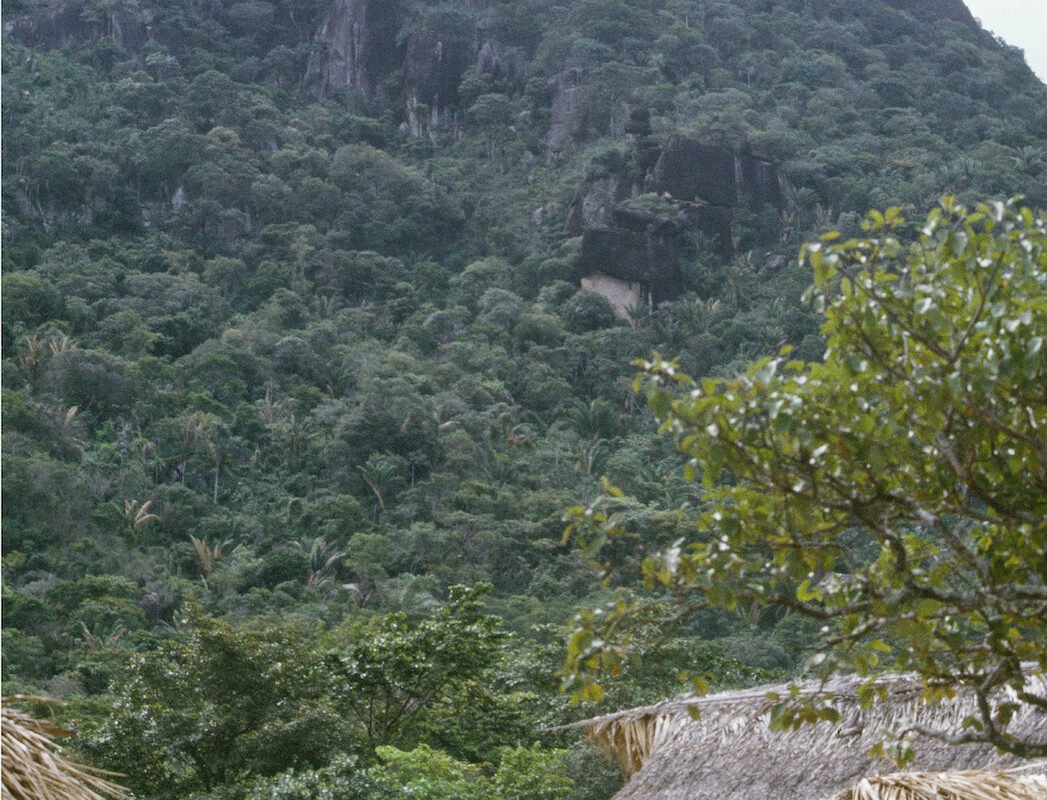 Reserva de Biósfera Alto Orinoco-Casiquiare – SOS Orinoco