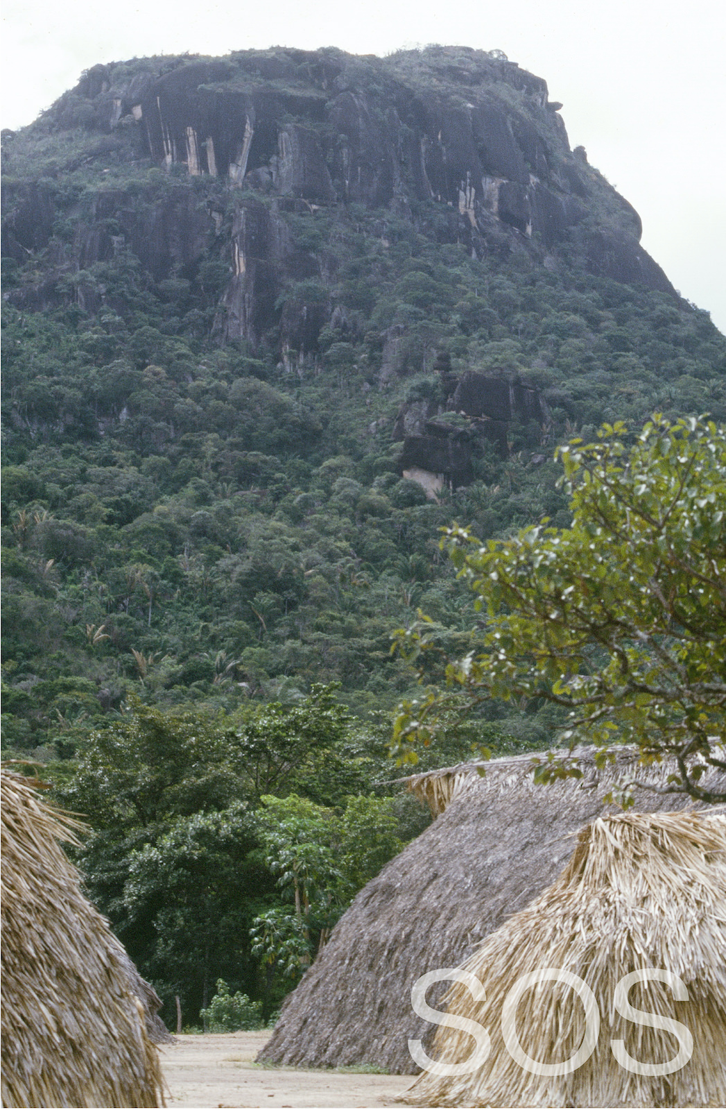 Reserva de Biósfera Alto Orinoco-Casiquiare - SOS Orinoco